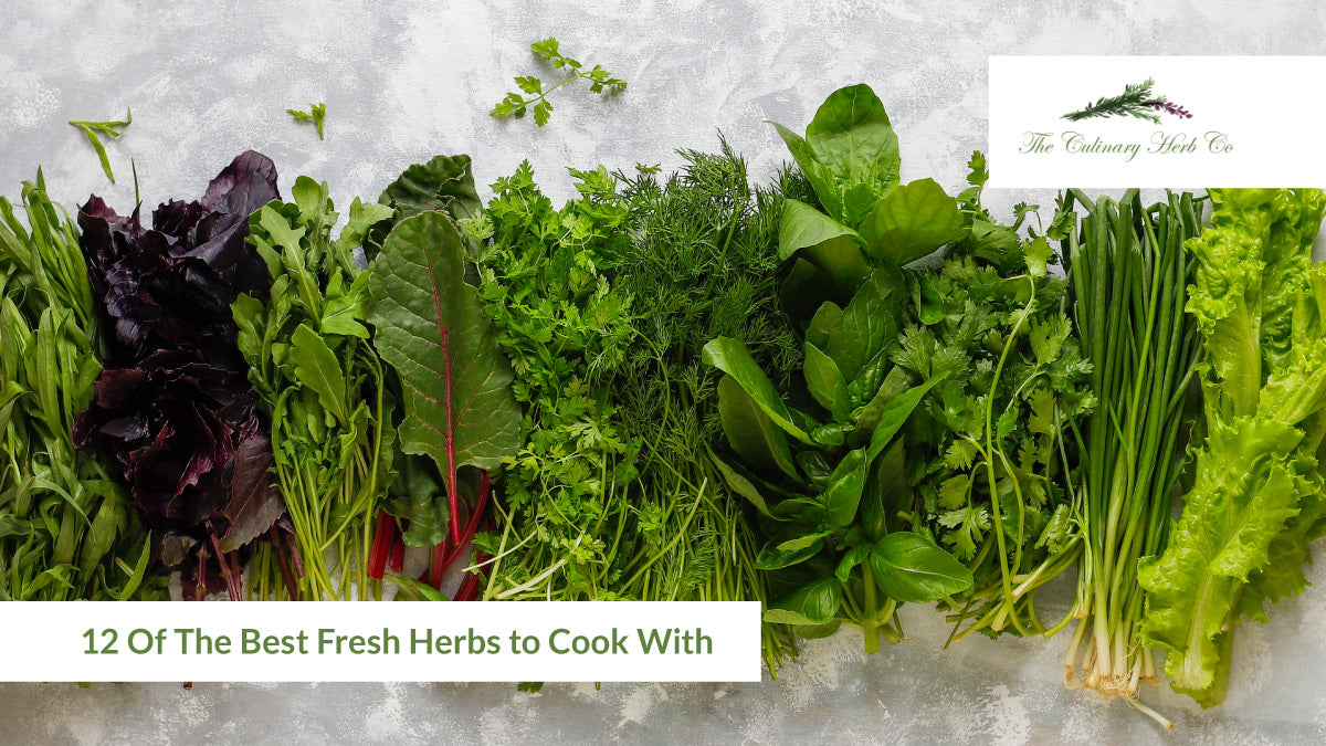 12 Of The Best Fresh Herbs to Cook With – Culinary Herb Co.