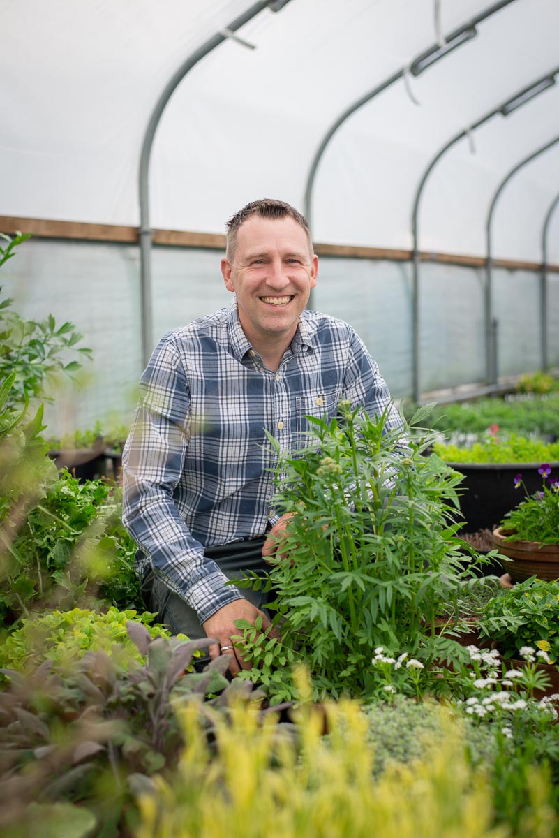 Buy Fresh Herb Plants Online | Culinary Herb Co.
